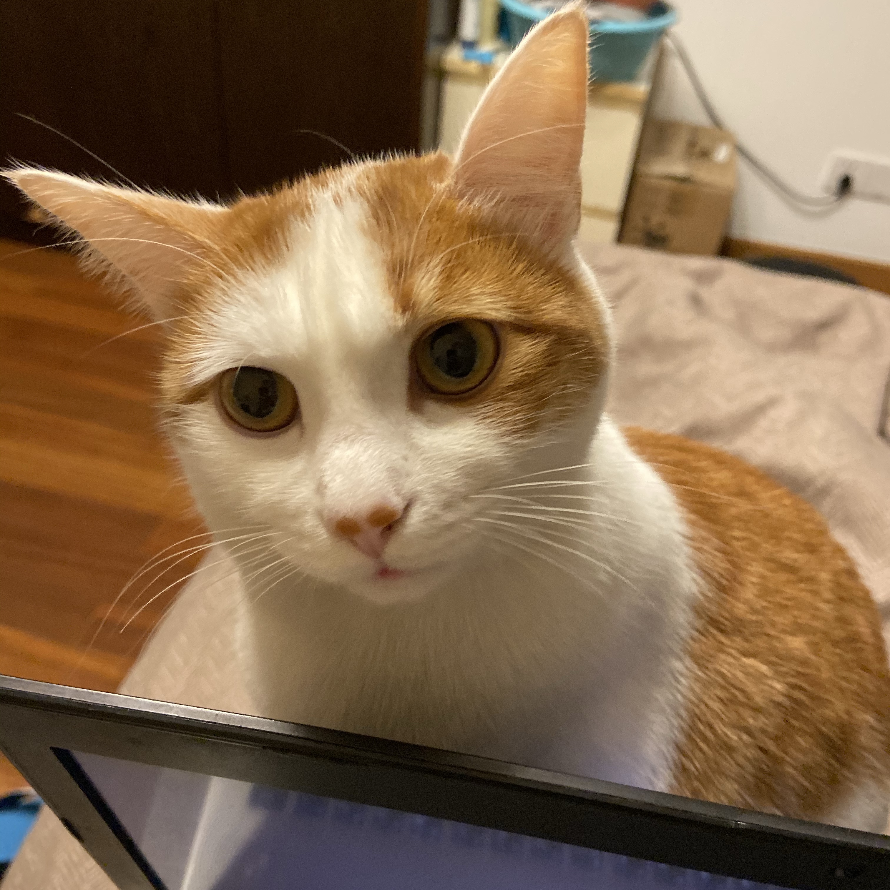 【4k修复60帧】霉霉泰勒·斯威夫特52个MV合集【收藏级画质】【已更新12个MV】 - AcFun弹幕视频网 - 认真你就输啦 (?ω?)ノ- ( ゜- ゜)つロ