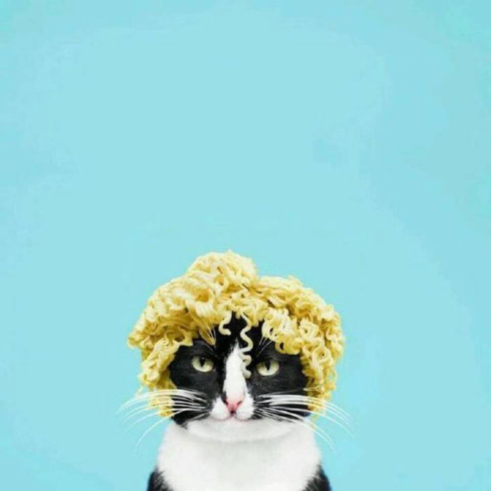 我给德爷做了一条荒野求生腰带 - AcFun弹幕视频网 - 认真你就输啦 (?ω?)ノ- ( ゜- ゜)つロ