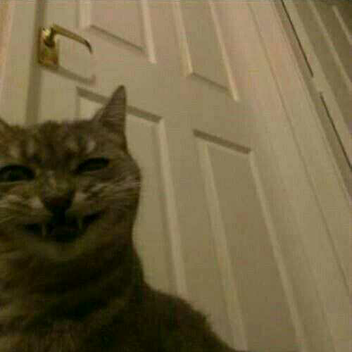 【4k修复60帧】摇曳露营 第一二季op【蓝光品质】 - AcFun弹幕视频网 - 认真你就输啦 (?ω?)ノ- ( ゜- ゜)つロ