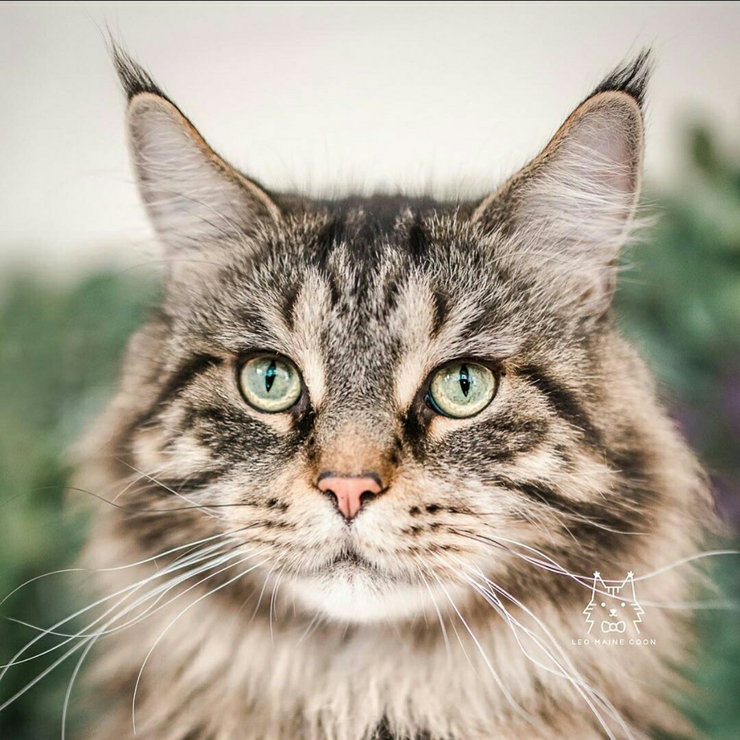 两小时纪录片 零日 (2016) Zero Days 原创中字 - AcFun弹幕视频网 - 认真你就输啦 (?ω?)ノ- ( ゜- ゜)つロ