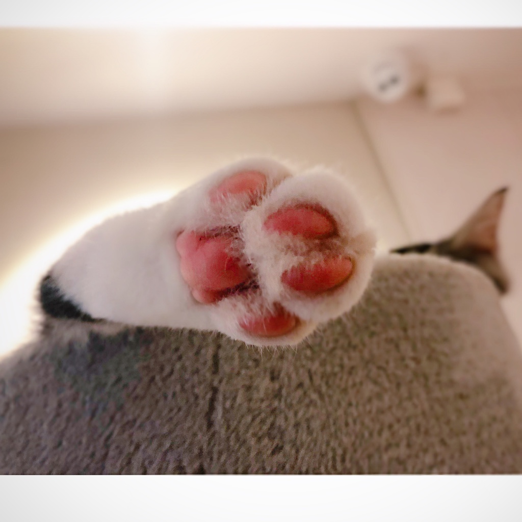 2024 第100回箱根驿传（无广告纯享） - AcFun弹幕视频网 - 认真你就输啦 (?ω?)ノ- ( ゜- ゜)つロ