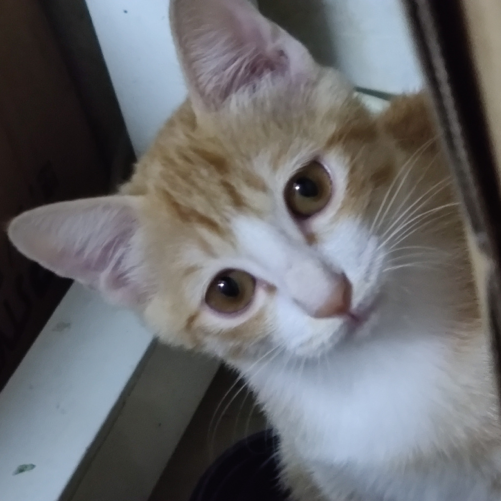 【4k修复60帧】Michael.Jackson全mv合集【收藏级别画质】【更新5首】 - AcFun弹幕视频网 - 认真你就输啦 (?ω?)ノ- ( ゜- ゜)つロ