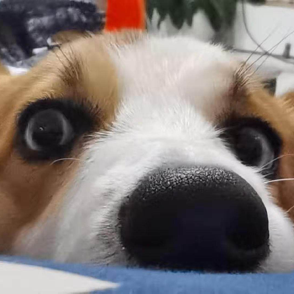 食神魂第二季 第八集 烧烤之巅的男人 - AcFun弹幕视频网 - 认真你就输啦 (?ω?)ノ- ( ゜- ゜)つロ