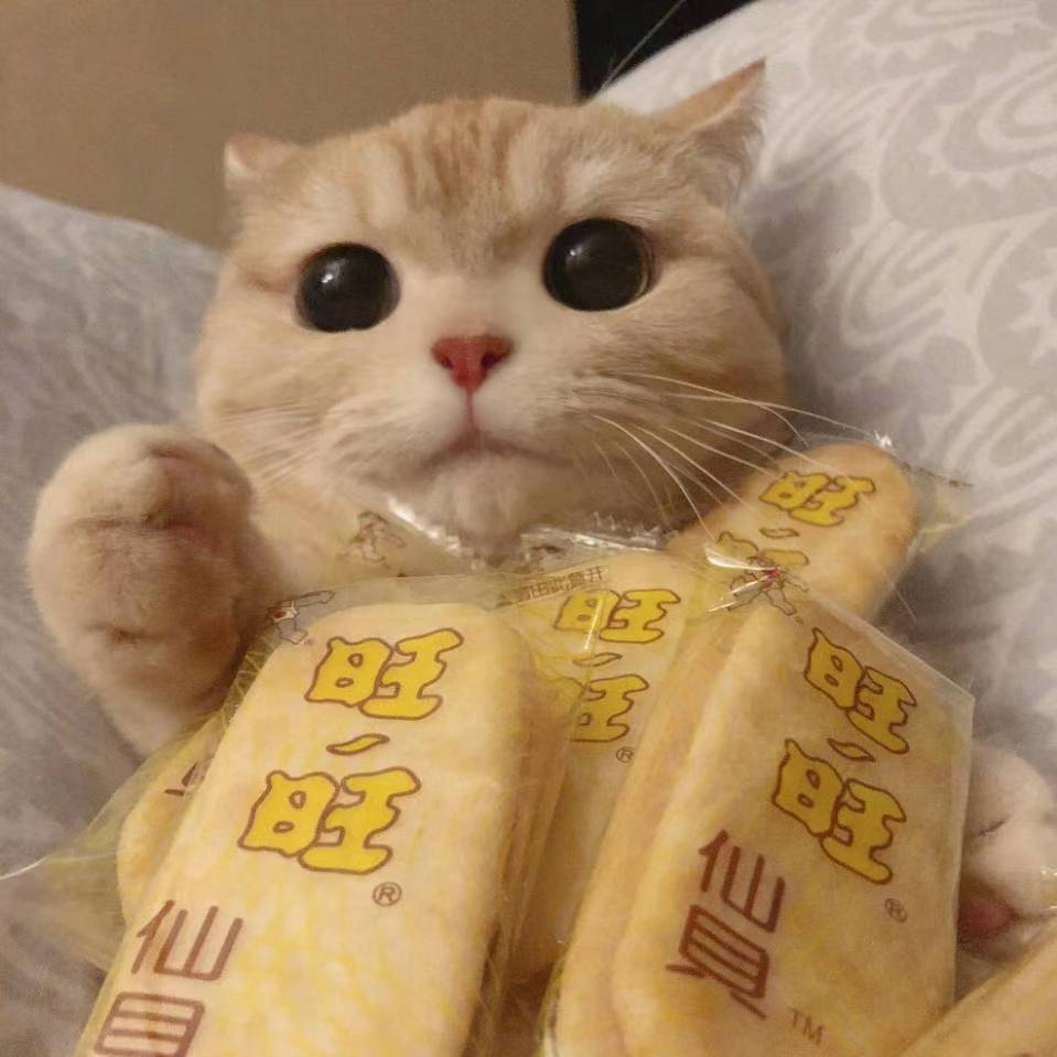 【巫小萤】猫步轻俏️性感黑喵 Like a cat - AcFun弹幕视频网 - 认真你就输啦 (?ω?)ノ- ( ゜- ゜)つロ