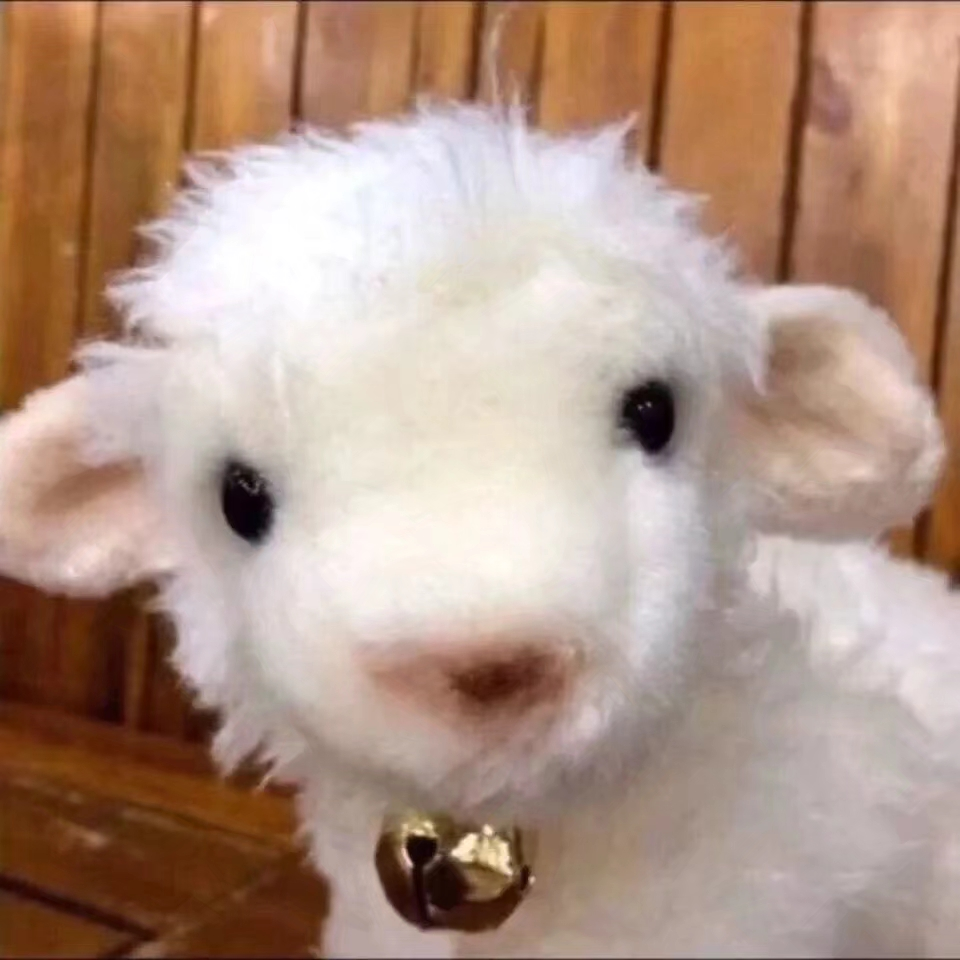 【死神】1-366集！一口气看完，大制作！ - AcFun弹幕视频网 - 认真你就输啦 (?ω?)ノ- ( ゜- ゜)つロ