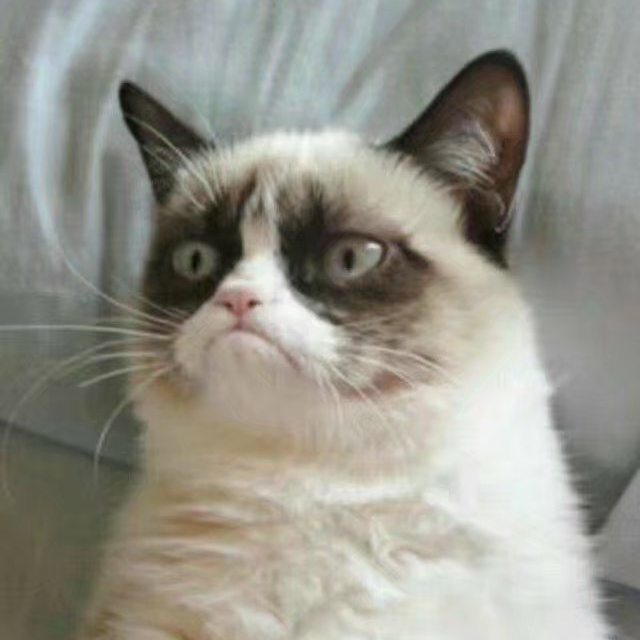 【张学友】活出生命Live演唱会-2004 - AcFun弹幕视频网 - 认真你就输啦 (?ω?)ノ- ( ゜- ゜)つロ