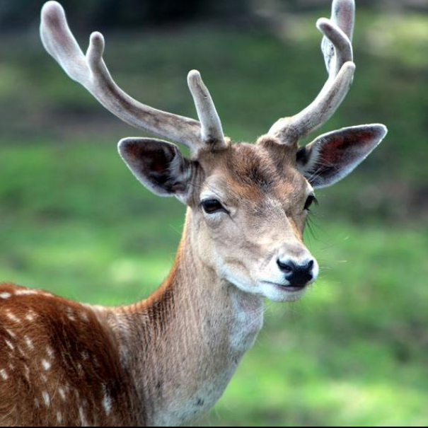 【4k修复60帧】Michael.Jackson全mv合集【收藏级别画质】【更新5首】 - AcFun弹幕视频网 - 认真你就输啦 (?ω?)ノ- ( ゜- ゜)つロ