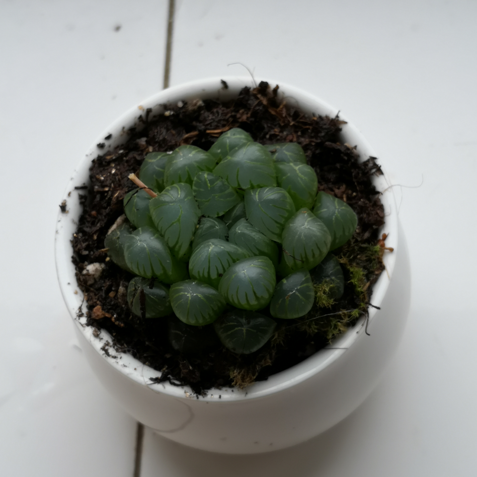 4399童年阴影系列！小女孩家中的惨案！ - AcFun弹幕视频网 - 认真你就输啦 (?ω?)ノ- ( ゜- ゜)つロ