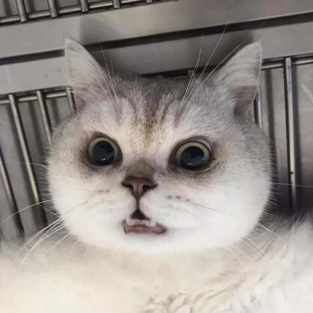 【4k修复60帧】霉霉泰勒·斯威夫特52个MV合集【收藏级画质】【已更新12个MV】 - AcFun弹幕视频网 - 认真你就输啦 (?ω?)ノ- ( ゜- ゜)つロ