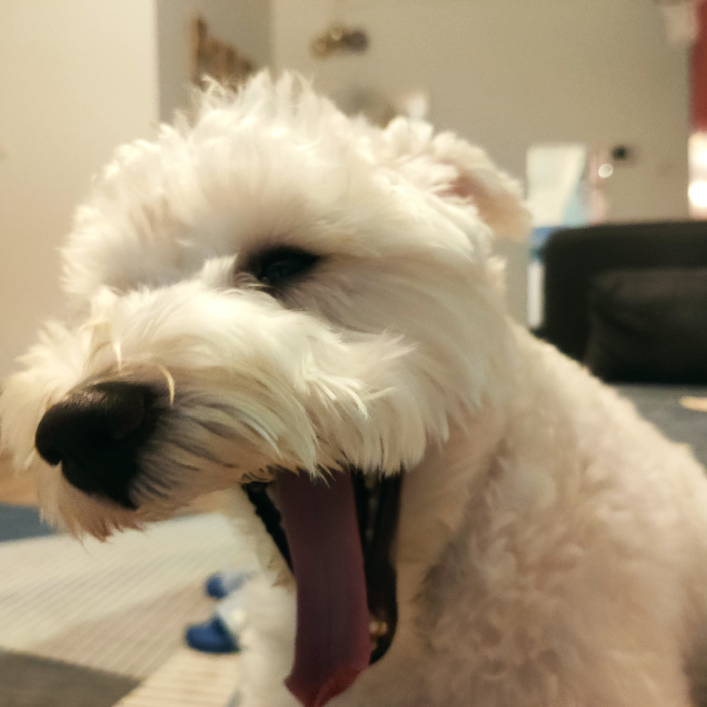 勒肉清凉蹦迪~boogie up - AcFun弹幕视频网 - 认真你就输啦 (?ω?)ノ- ( ゜- ゜)つロ