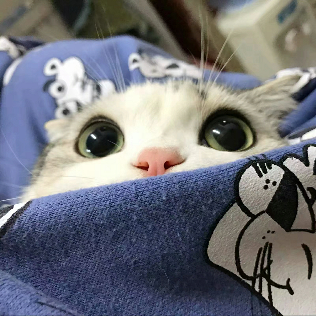 【A站独家】哦哈哟！！学长！！ - AcFun弹幕视频网 - 认真你就输啦 (?ω?)ノ- ( ゜- ゜)つロ