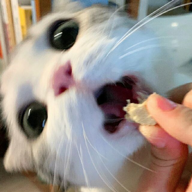 开火车~party train - AcFun弹幕视频网 - 认真你就输啦 (?ω?)ノ- ( ゜- ゜)つロ