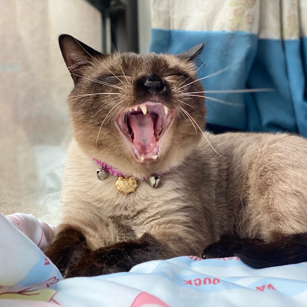 [弹幕版]EP1 - AcFun弹幕视频网 - 认真你就输啦 (?ω?)ノ- ( ゜- ゜)つロ