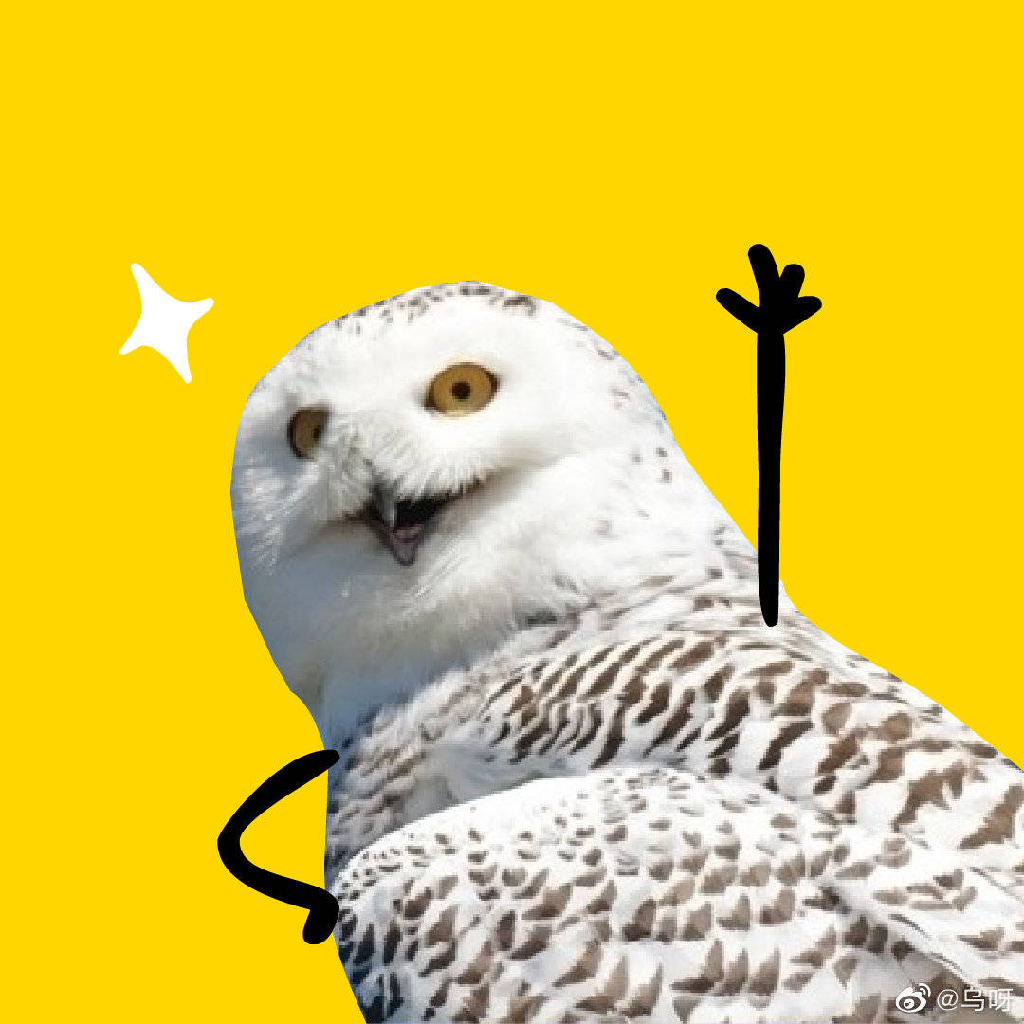 【兔牙】御姐~甜妹️丝滑Rollin 椅子舞 - AcFun弹幕视频网 - 认真你就输啦 (?ω?)ノ- ( ゜- ゜)つロ