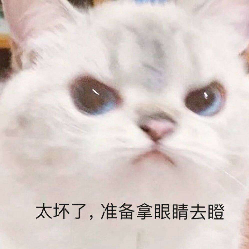 【熟肉】磁石相遇100 - AcFun弹幕视频网 - 认真你就输啦 (?ω?)ノ- ( ゜- ゜)つロ