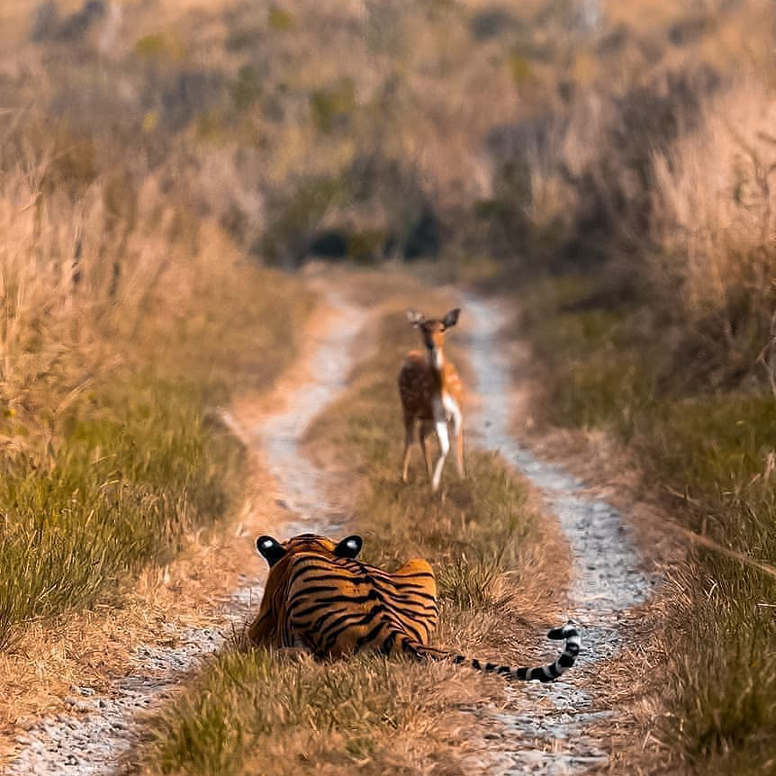 【旧番补档】【萌向】蛋黄酱萝莉【全集+SP】 - AcFun弹幕视频网 - 认真你就输啦 (?ω?)ノ- ( ゜- ゜)つロ