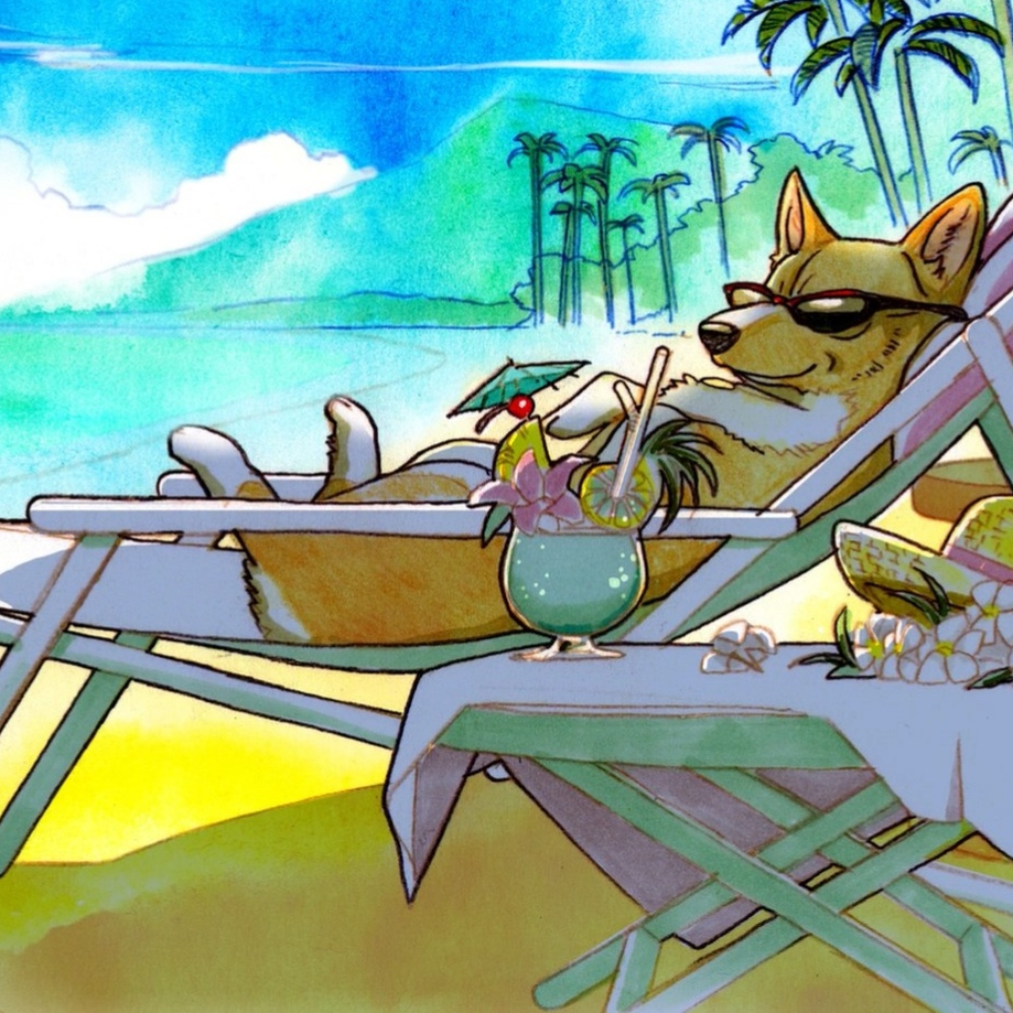 【嘉也子】阿米娅！最后的泳池夏天！summertime - AcFun弹幕视频网 - 认真你就输啦 (?ω?)ノ- ( ゜- ゜)つロ