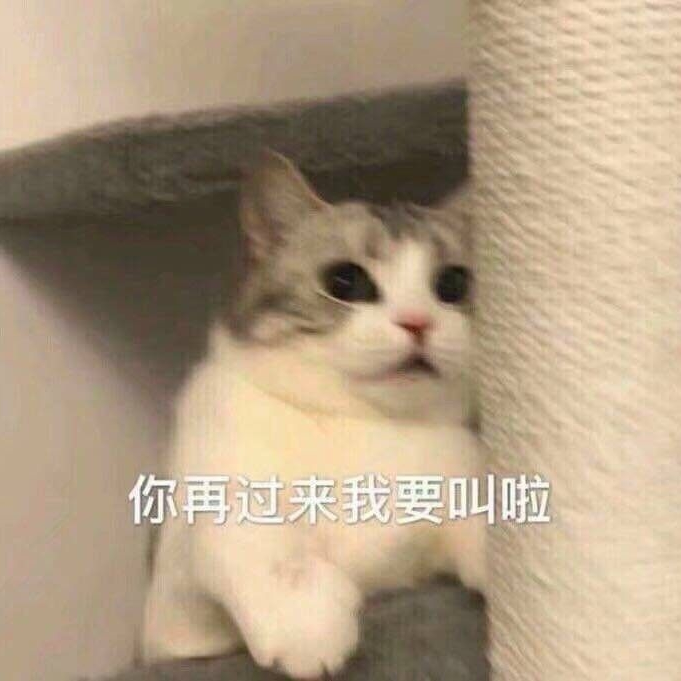 不看就会后悔哦！AOA-Bing Bing【独家】 - AcFun弹幕视频网 - 认真你就输啦 (?ω?)ノ- ( ゜- ゜)つロ