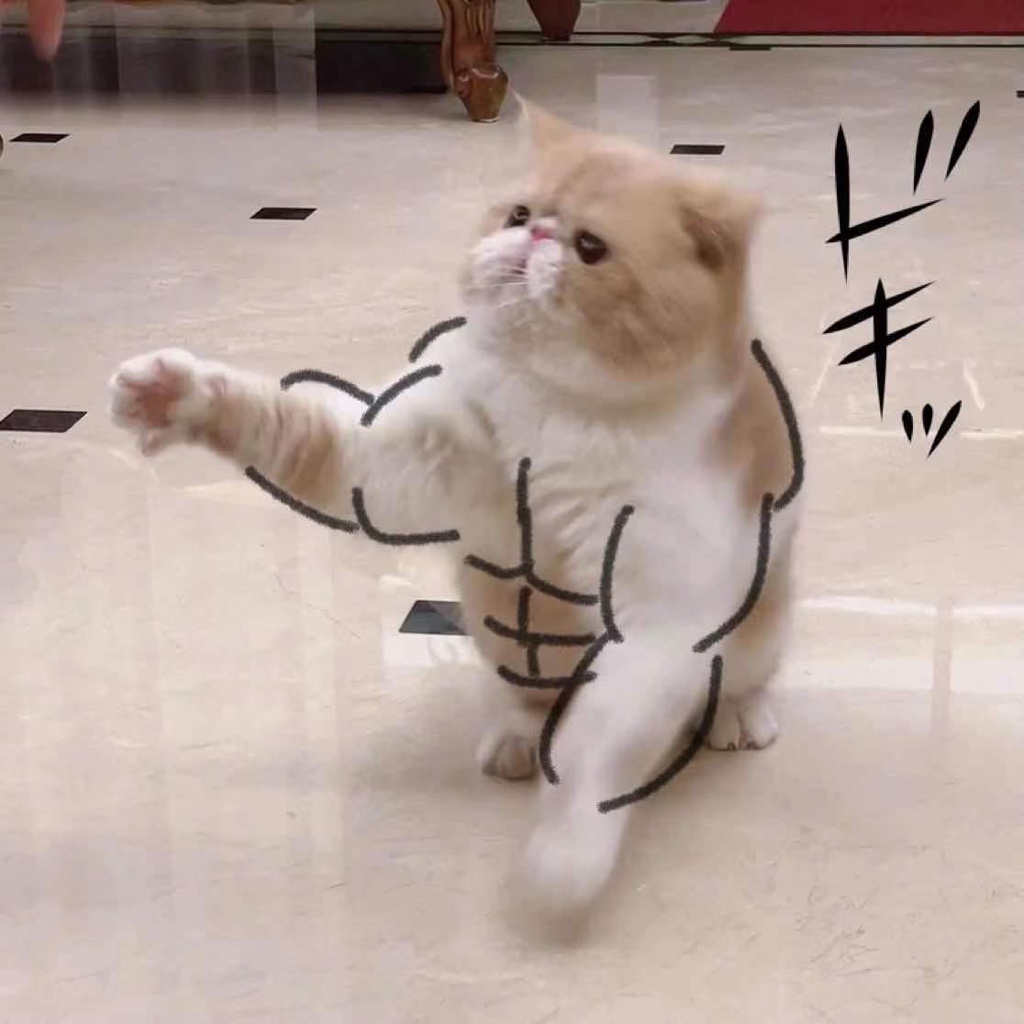 【AC娘18成年礼晚会】晚会正片纯享【AC18 未来可FUN】 - AcFun弹幕视频网 - 认真你就输啦 (?ω?)ノ- ( ゜- ゜)つロ