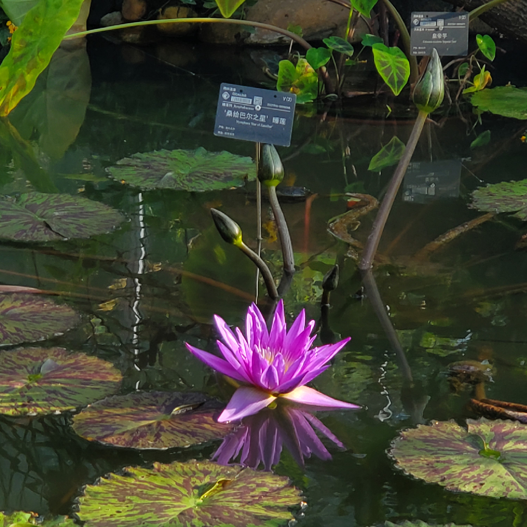 又是被不道德绑架的一天 - AcFun弹幕视频网 - 认真你就输啦 (?ω?)ノ- ( ゜- ゜)つロ