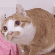 是谁在给近6年前的游戏做汉化？鬼泣5完全汉化Mod发布！ - AcFun弹幕视频网 - 认真你就输啦 (?ω?)ノ- ( ゜- ゜)つロ