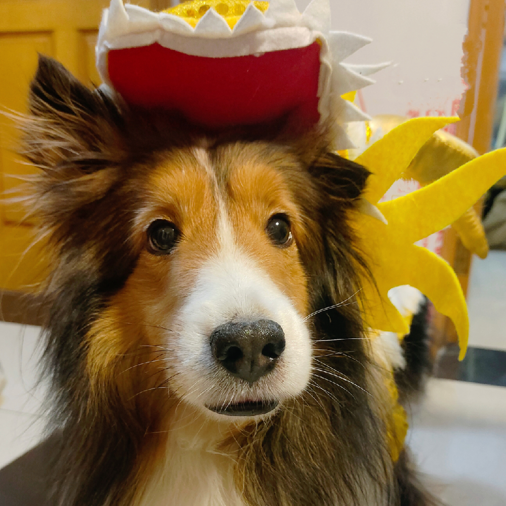 【金坷垃】滋味常 - AcFun弹幕视频网 - 认真你就输啦 (?ω?)ノ- ( ゜- ゜)つロ