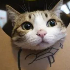 【480P】《幸运的卢克》【1-52_国语】（1970） - AcFun弹幕视频网 - 认真你就输啦 (?ω?)ノ- ( ゜- ゜)つロ