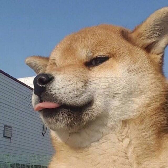 【4k修复60帧】霉霉泰勒·斯威夫特52个MV合集【收藏级画质】【已更新12个MV】 - AcFun弹幕视频网 - 认真你就输啦 (?ω?)ノ- ( ゜- ゜)つロ