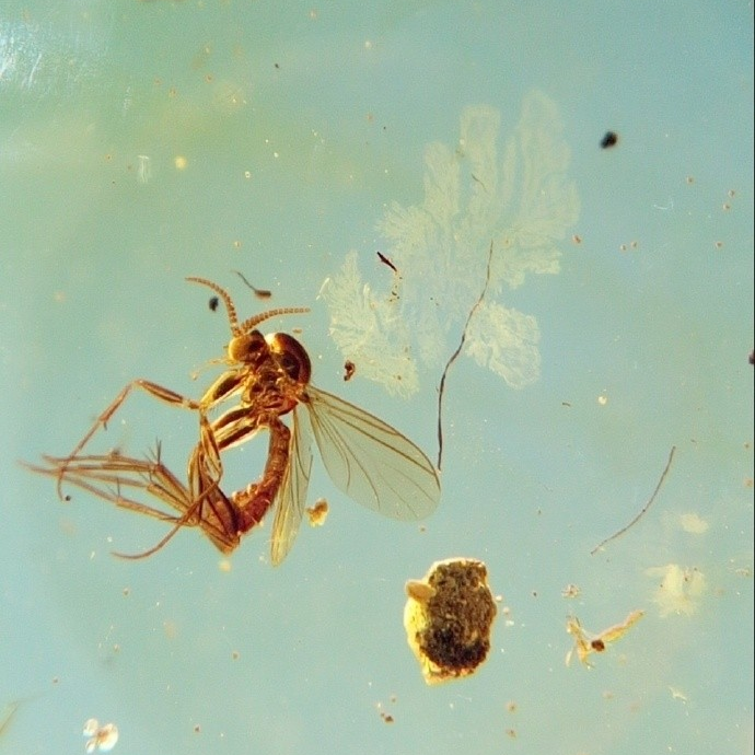 【4k修复60帧】新版葫芦娃全52集合集 - AcFun弹幕视频网 - 认真你就输啦 (?ω?)ノ- ( ゜- ゜)つロ