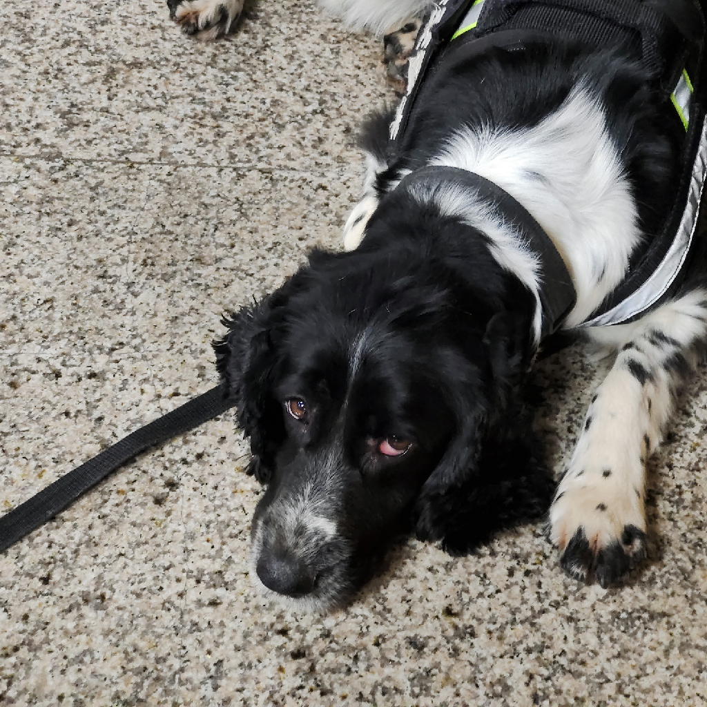 一分一秒 4K全面屏 - AcFun弹幕视频网 - 认真你就输啦 (?ω?)ノ- ( ゜- ゜)つロ