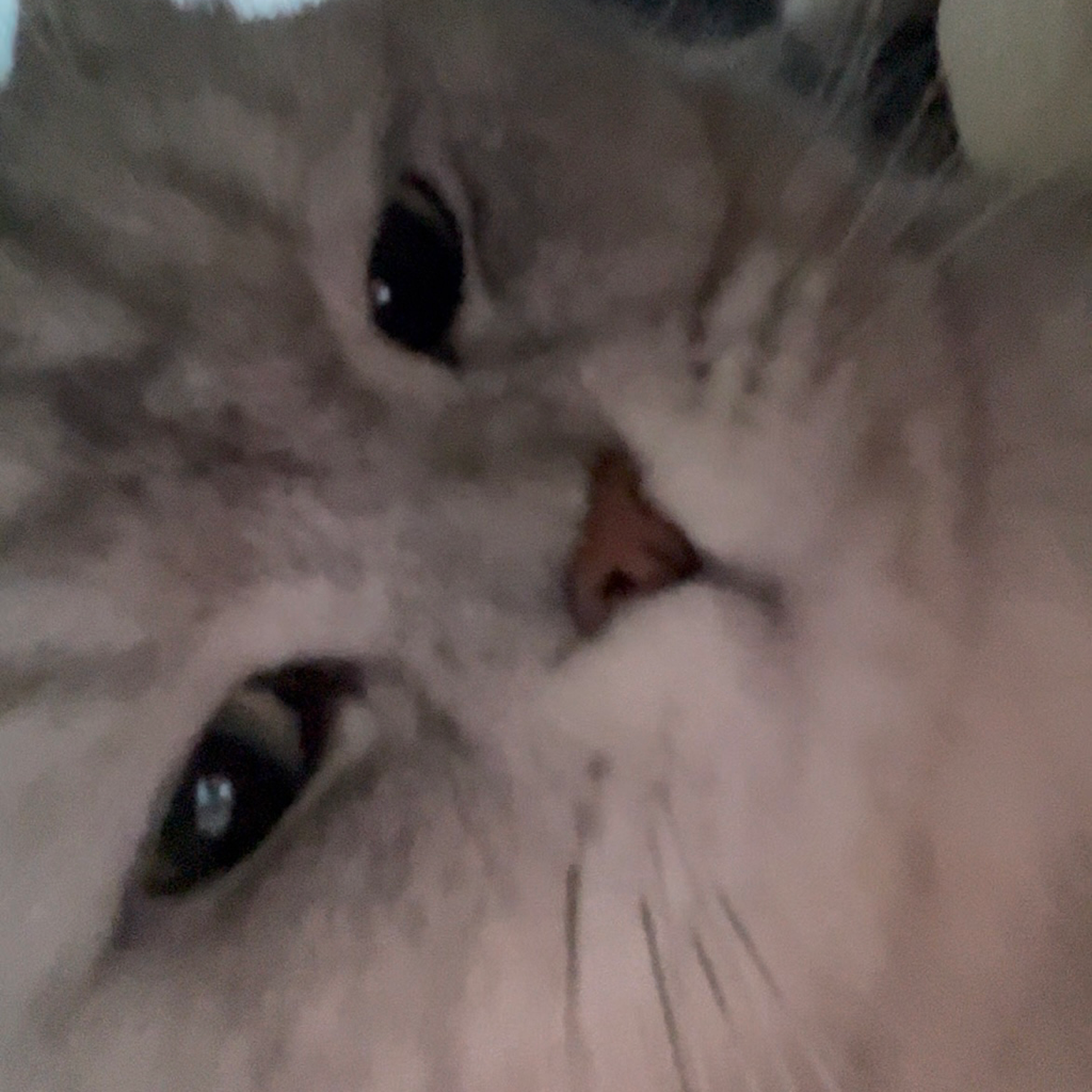 是谁在给近6年前的游戏做汉化？鬼泣5完全汉化Mod发布！ - AcFun弹幕视频网 - 认真你就输啦 (?ω?)ノ- ( ゜- ゜)つロ