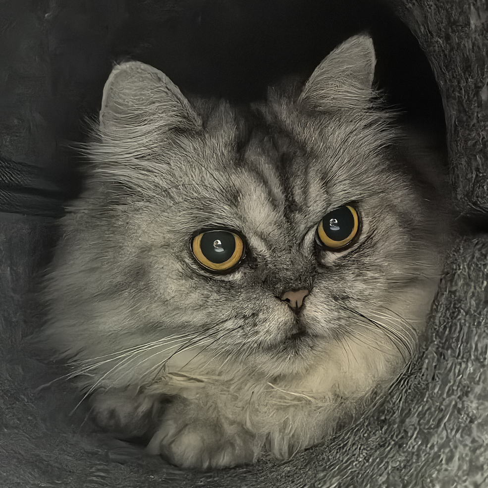 数码宝贝第三部9期：红莲骑士兽！合体进化！驯兽师之王！ - AcFun弹幕视频网 - 认真你就输啦 (?ω?)ノ- ( ゜- ゜)つロ