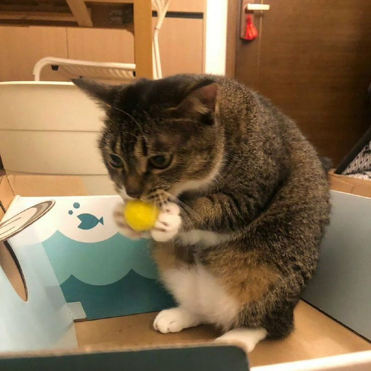 点燃随机舞蹈现场的女人 - AcFun弹幕视频网 - 认真你就输啦 (?ω?)ノ- ( ゜- ゜)つロ