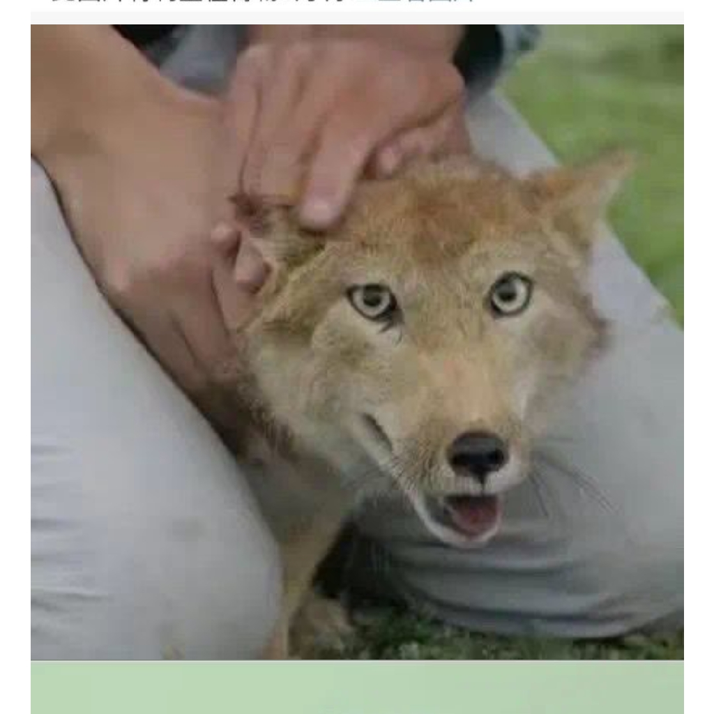 网络上常见的热门短视频集锦 第两千二百四十一期 - AcFun弹幕视频网 - 认真你就输啦 (?ω?)ノ- ( ゜- ゜)つロ