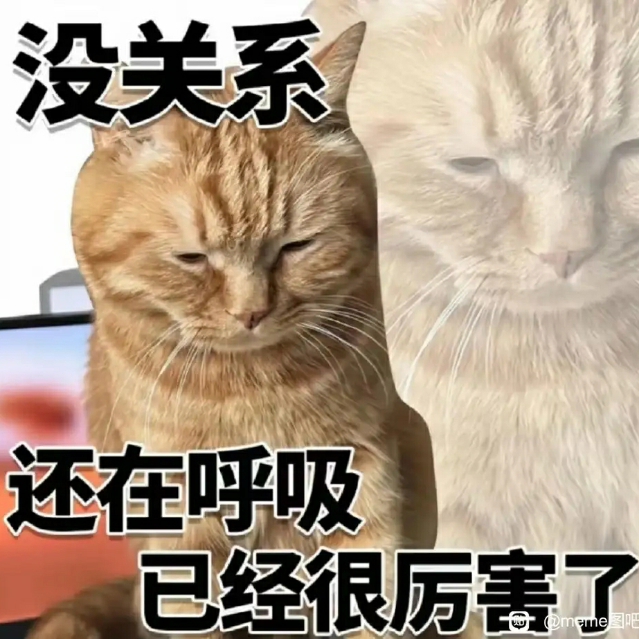 【4K修复】火遍全球的英文歌曲Daniel Powter《Free Loop》MV - AcFun弹幕视频网 - 认真你就输啦 (?ω?)ノ- ( ゜- ゜)つロ