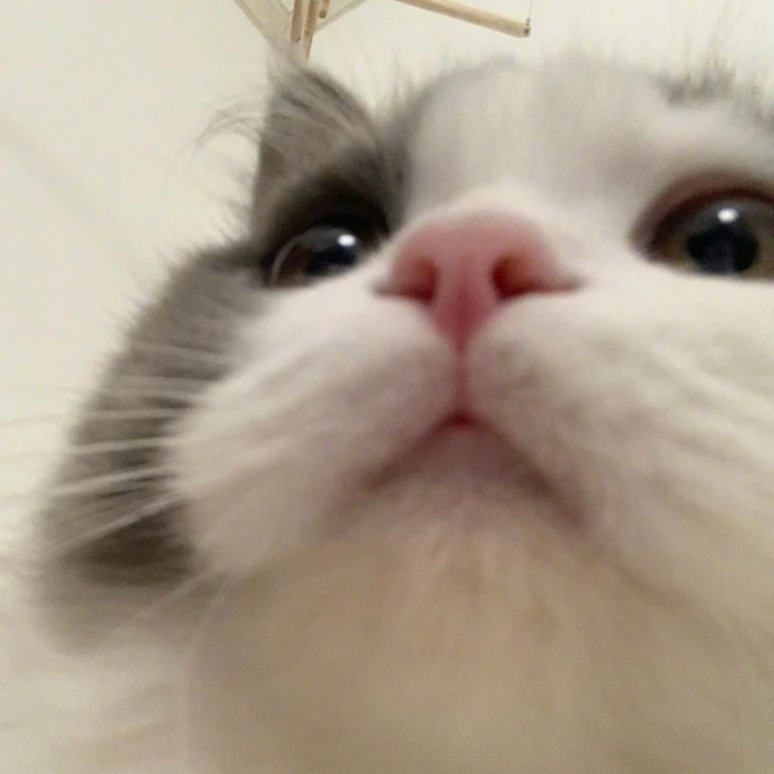 Korean BJ 바비앙 Babbyang 芭比昂 섹시댄스 - AcFun弹幕视频网 - 认真你就输啦 (?ω?)ノ- ( ゜- ゜)つロ