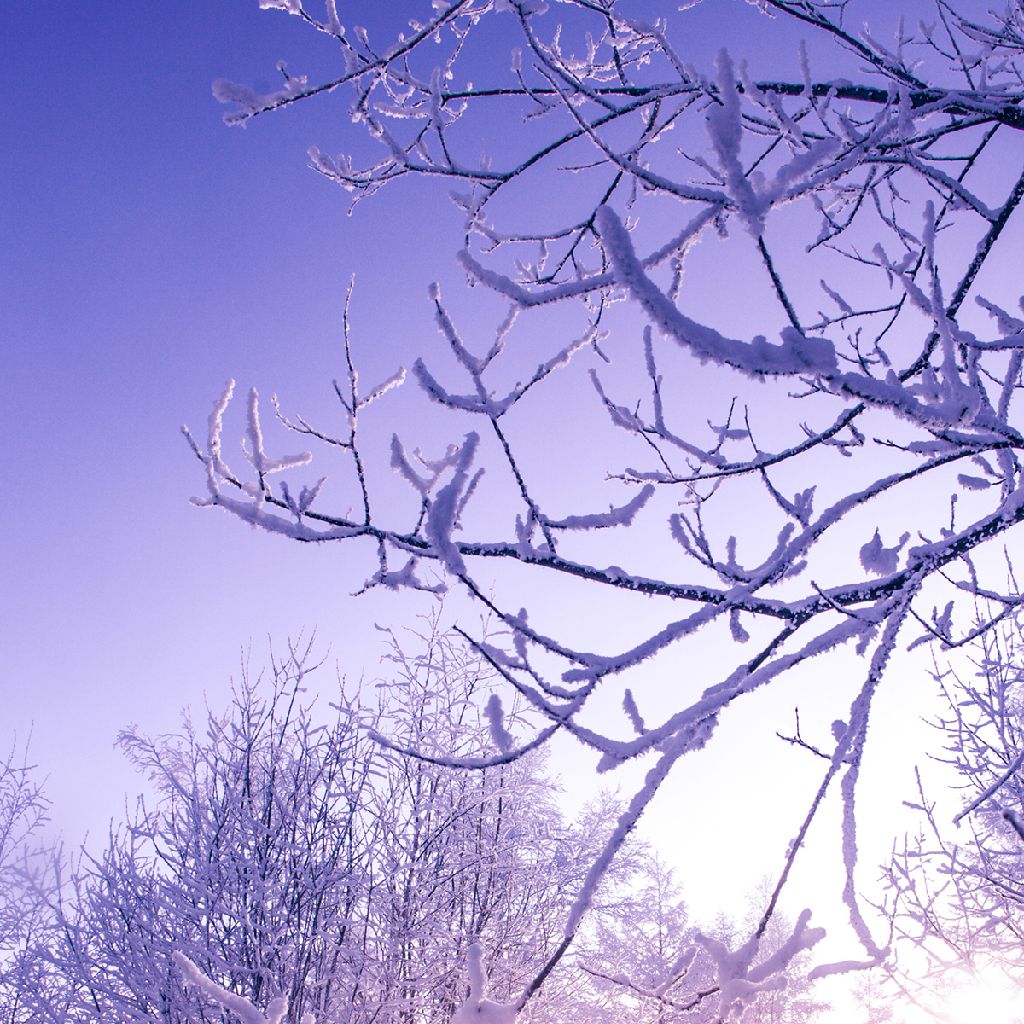 【纪实/BBC】生命的奇迹 (2013)第一集 - AcFun弹幕视频网 - 认真你就输啦 (?ω?)ノ- ( ゜- ゜)つロ