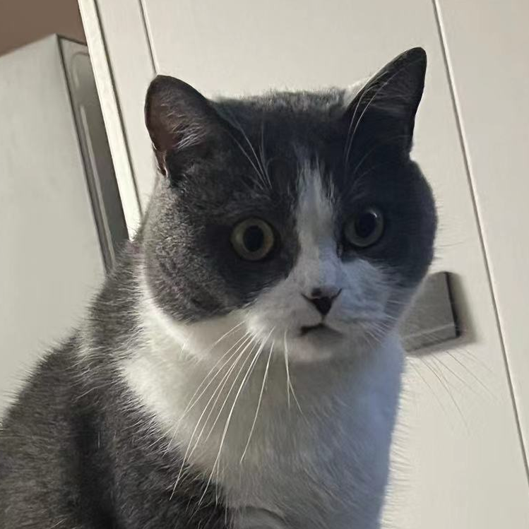 hjm新春秀 - AcFun弹幕视频网 - 认真你就输啦 (?ω?)ノ- ( ゜- ゜)つロ