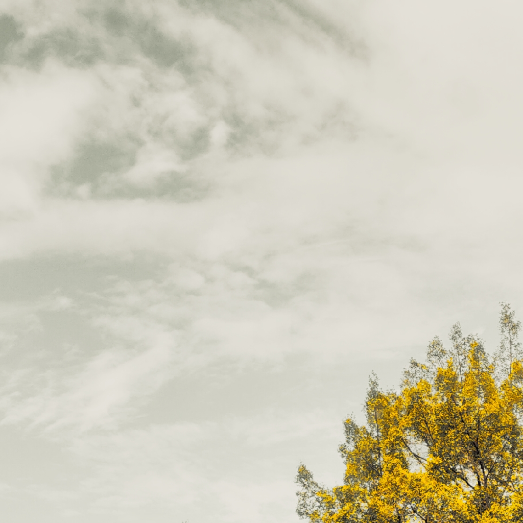 罗小黑战记：第1话 Cat.1 喵 - AcFun弹幕视频网 - 认真你就输啦 (?ω?)ノ- ( ゜- ゜)つロ