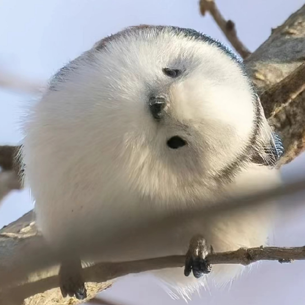 南韩魅魔张娜英合集 - AcFun弹幕视频网 - 认真你就输啦 (?ω?)ノ- ( ゜- ゜)つロ