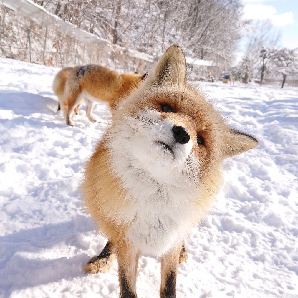 被欺负了？Call me我去干死他！ - AcFun弹幕视频网 - 认真你就输啦 (?ω?)ノ- ( ゜- ゜)つロ