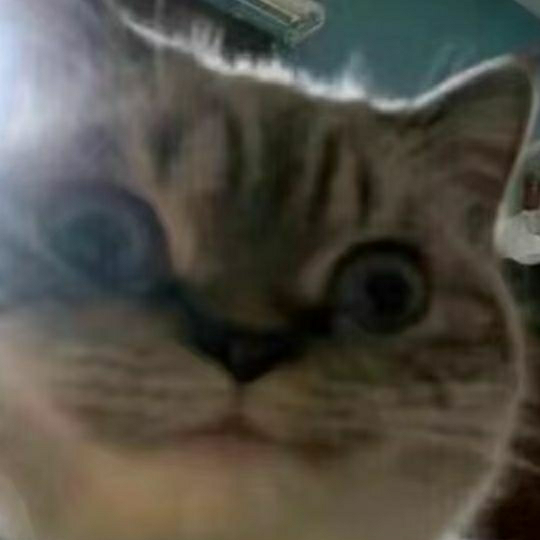 吕布与董卓（305234） - AcFun弹幕视频网 - 认真你就输啦 (?ω?)ノ- ( ゜- ゜)つロ