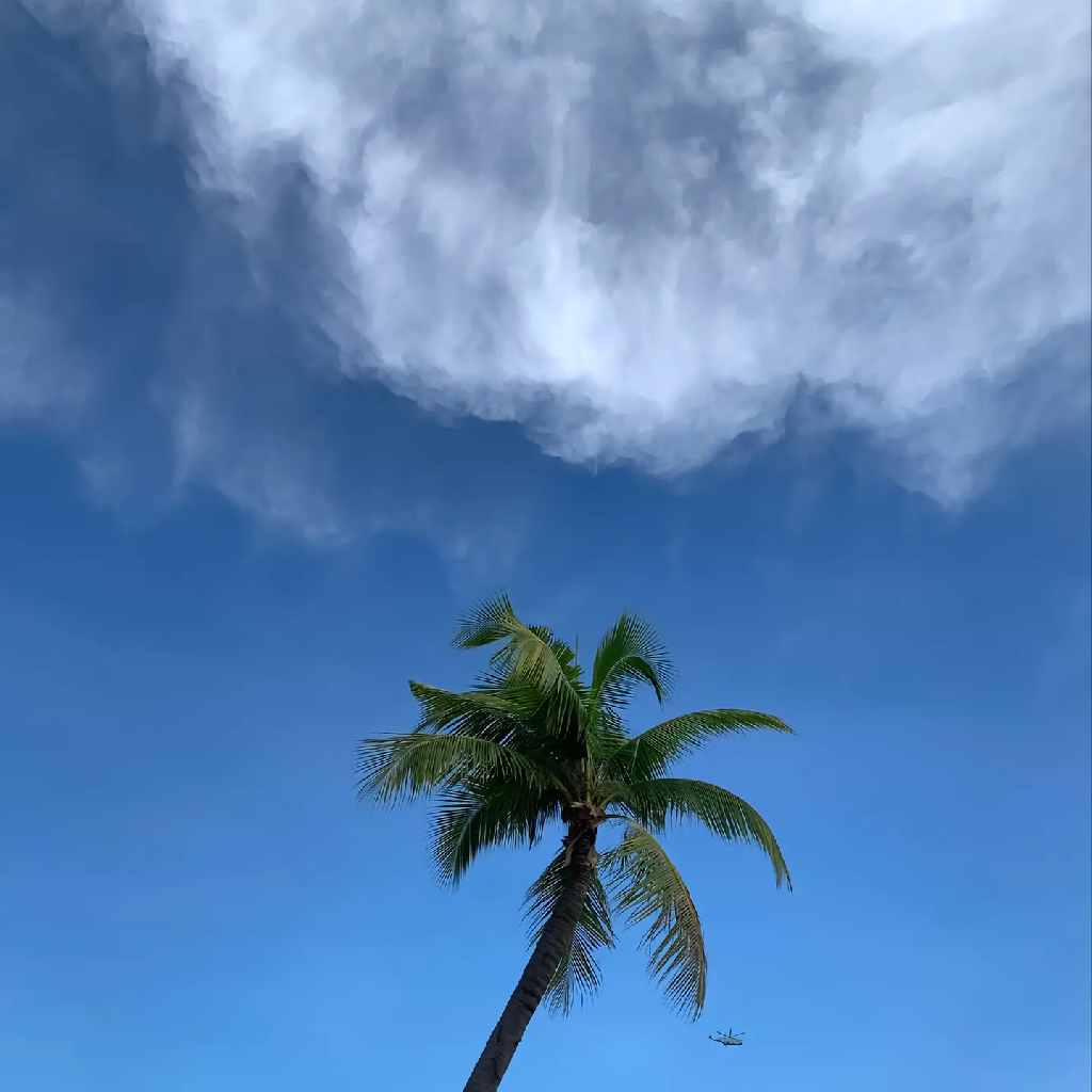 Naimi奶咪大合集 邪恶终将被打败 - AcFun弹幕视频网 - 认真你就输啦 (?ω?)ノ- ( ゜- ゜)つロ