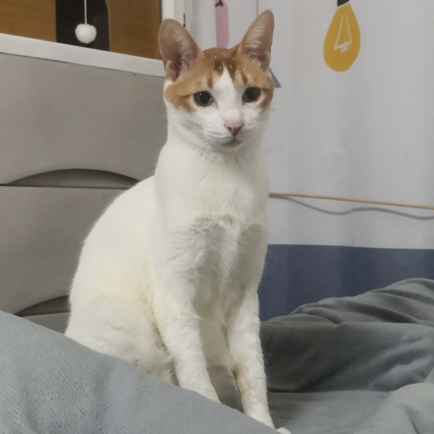 steam褒贬不一！国产机甲路在何方？【绅批】 - AcFun弹幕视频网 - 认真你就输啦 (?ω?)ノ- ( ゜- ゜)つロ