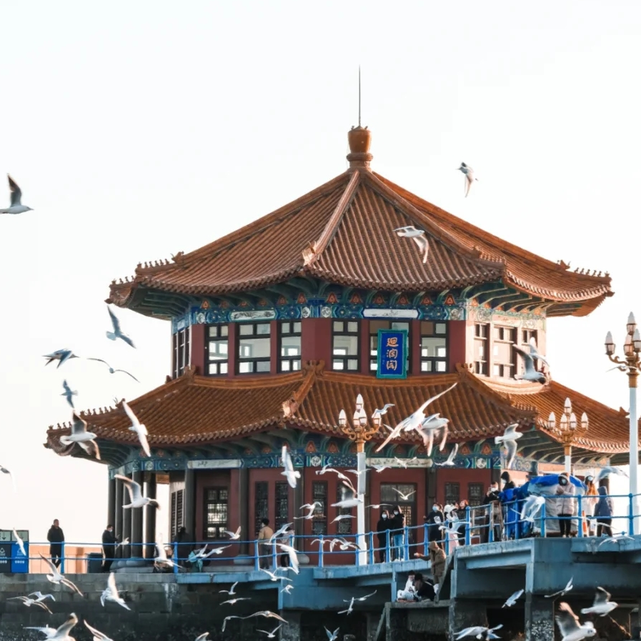 【授权汉化】雌小鬼miku的时间 - AcFun弹幕视频网 - 认真你就输啦 (?ω?)ノ- ( ゜- ゜)つロ