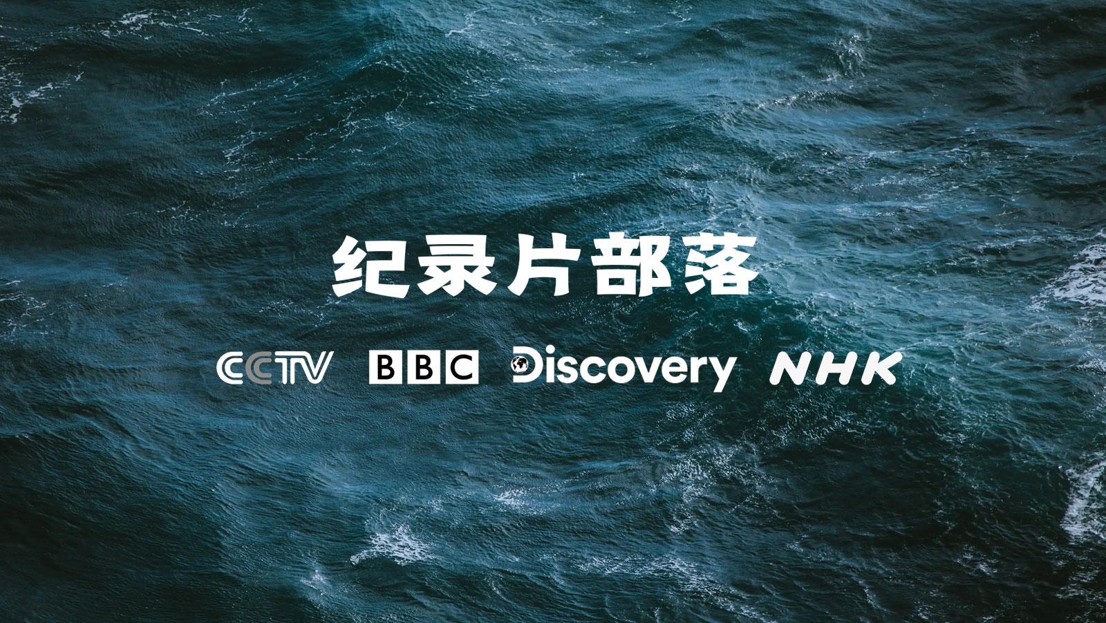 [BBC]纪录片《生命故事 Life Story》全集1080P超清下载