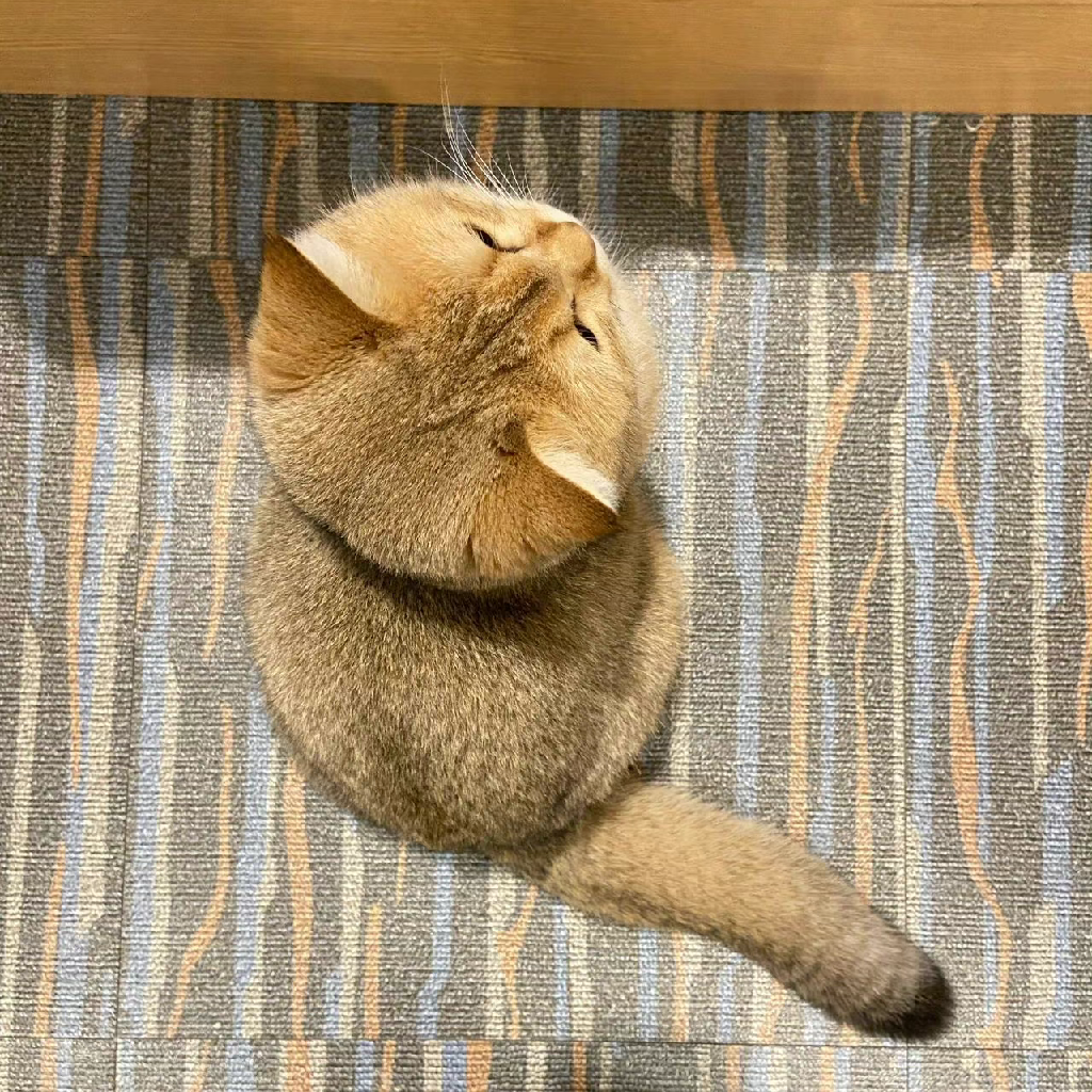 夏天就要看白丝妹妹~summertime - AcFun弹幕视频网 - 认真你就输啦 (?ω?)ノ- ( ゜- ゜)つロ