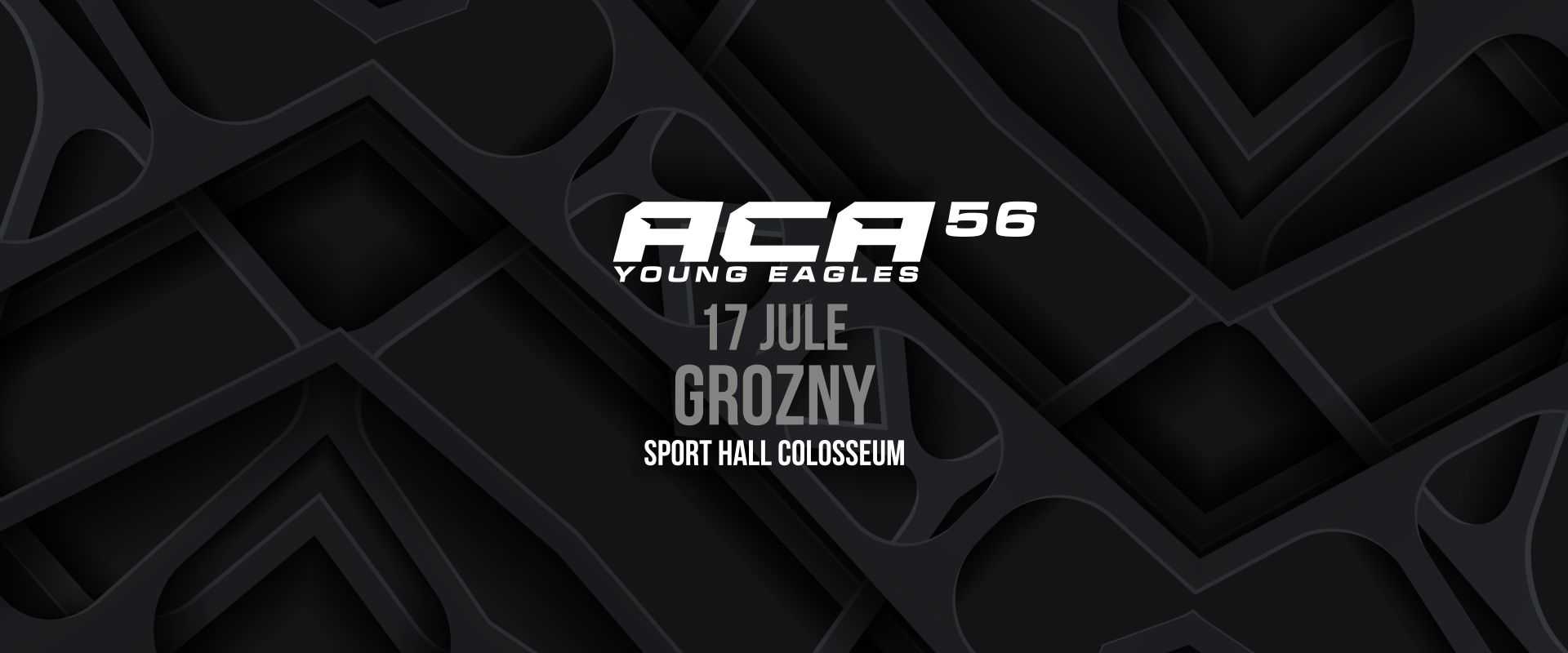 俄罗斯格斗赛事Absolute Championship Akhmat - 战报视频（简称ACA）