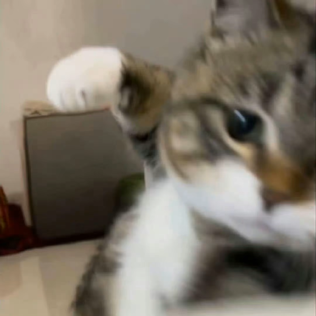 终于等到她更新了！ - AcFun弹幕视频网 - 认真你就输啦 (?ω?)ノ- ( ゜- ゜)つロ