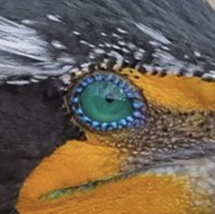 暗黑精灵sana动漫 - AcFun弹幕视频网 - 认真你就输啦 (?ω?)ノ- ( ゜- ゜)つロ